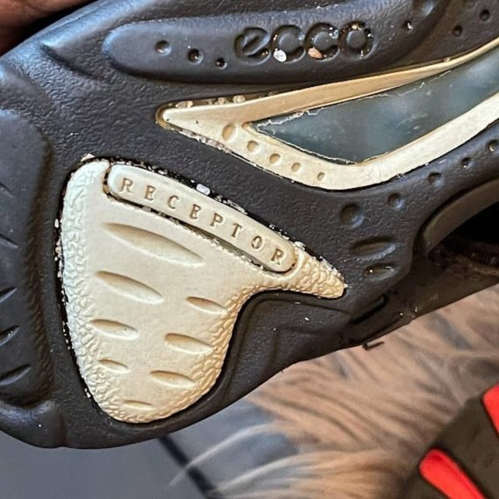 Women's Ecco Receptor Flex Sandals - Gem